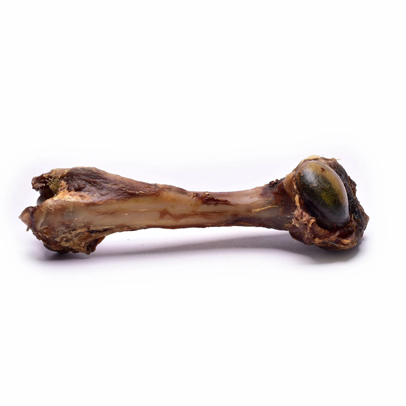 Venison Shoulder Bone | Available in 3 sizes S/M/L